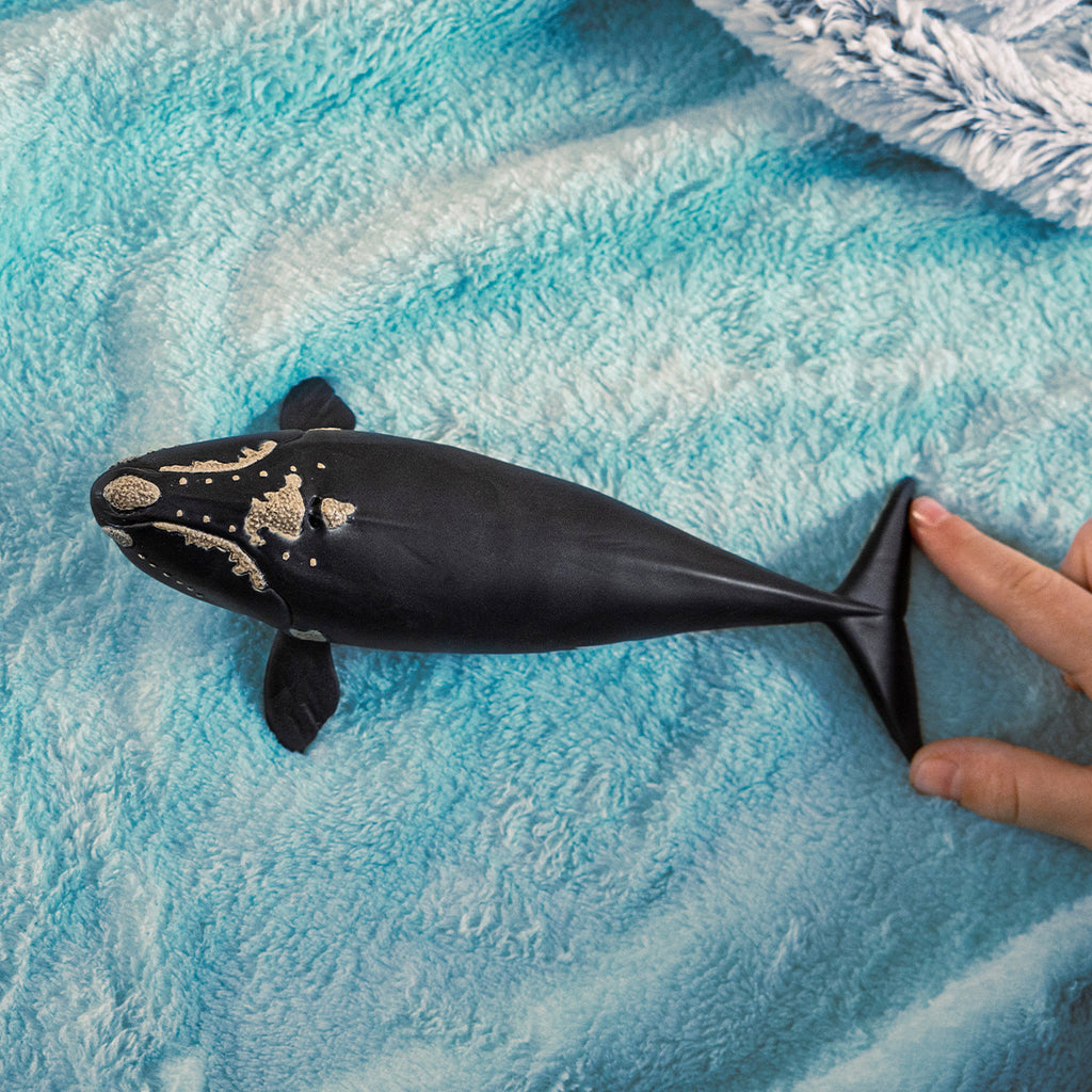 North Atlantic Right Whale 14878 WILD LIFE | schleich