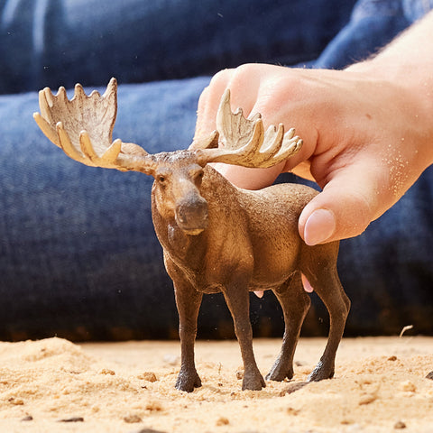 Moose bull 14781 WILD LIFE | schleich